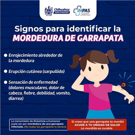IMPAS de Chihuahua: Aumenta Riesgo de Mordeduras de Garrapata – La ...